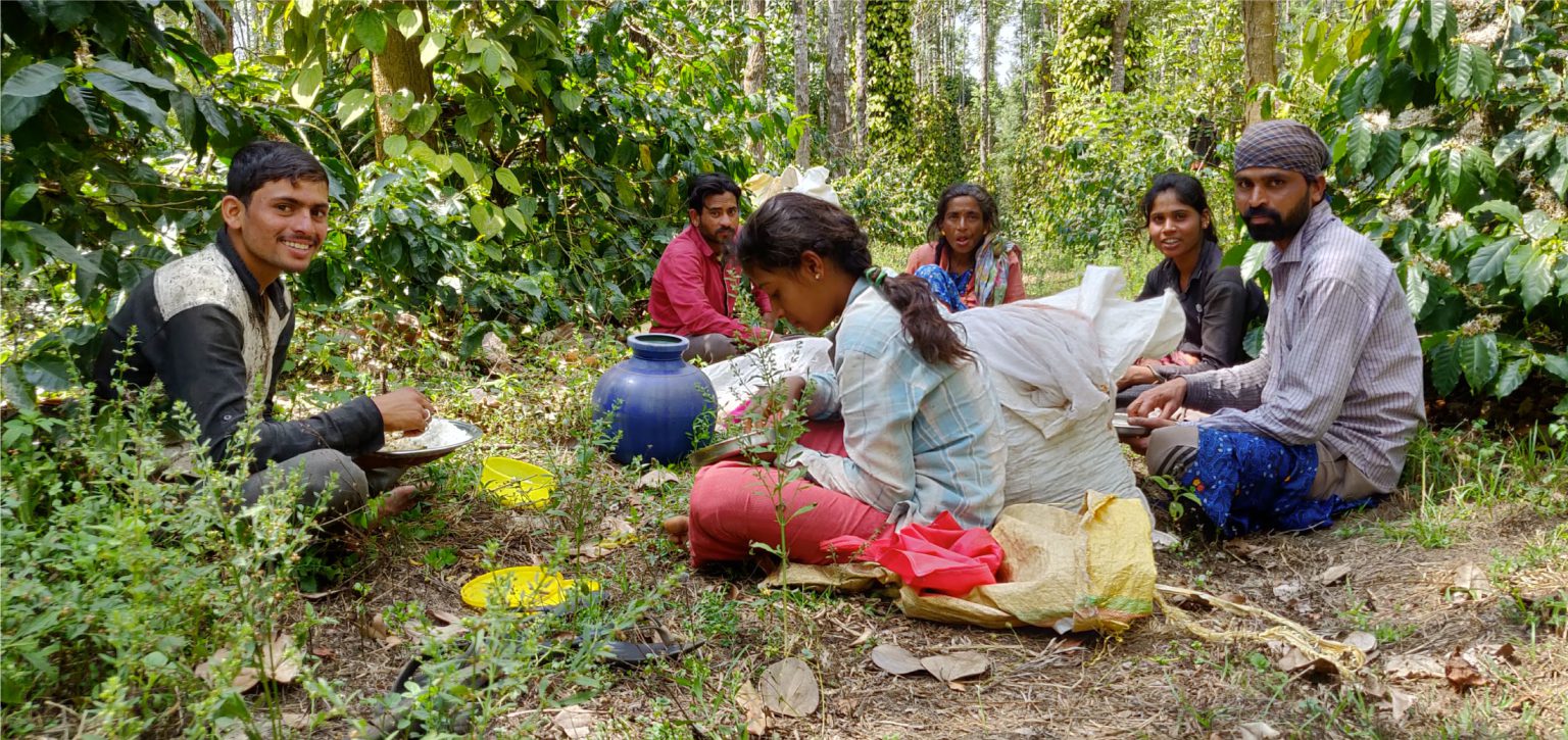 Brewing better weather services for Indian coffee farmers - Precision ...