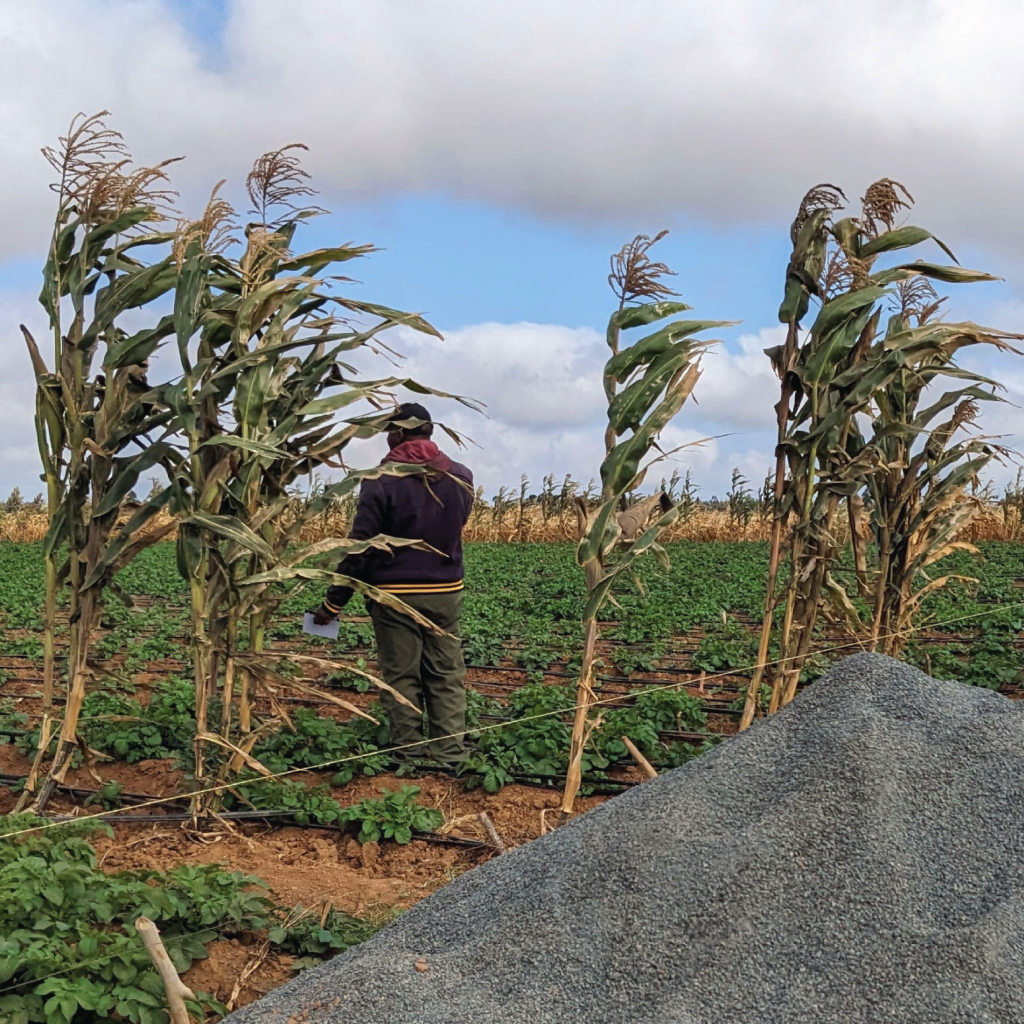 Creating a Global South Inclusive Carbon Dioxide Removal Marketplace ...