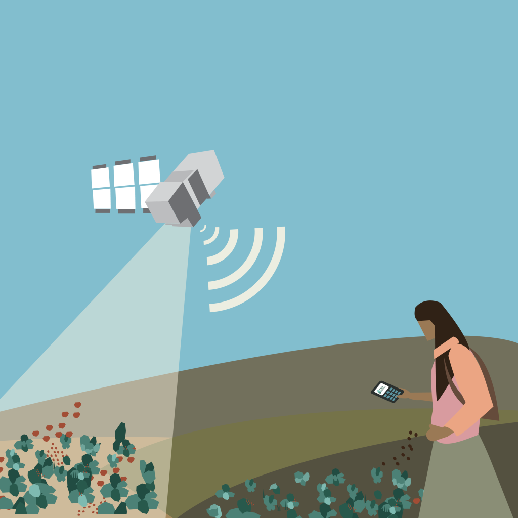 Insights – Precision Development (PxD)